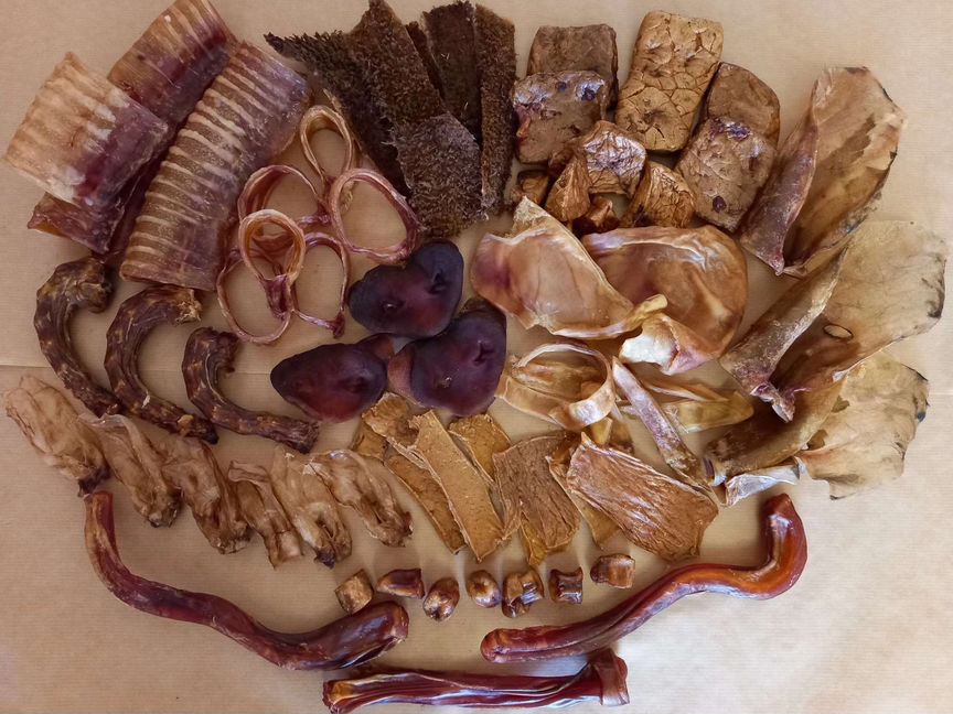 Лакомства для собак