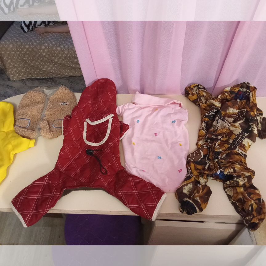 Одежда для маленьких собак бу