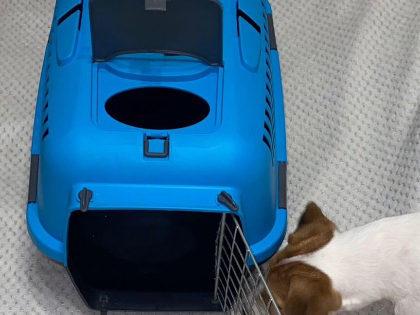 Переноска для собак и кошек "kiri-kiri"