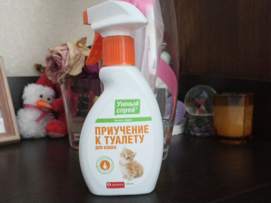 Спрей приучает к лотку