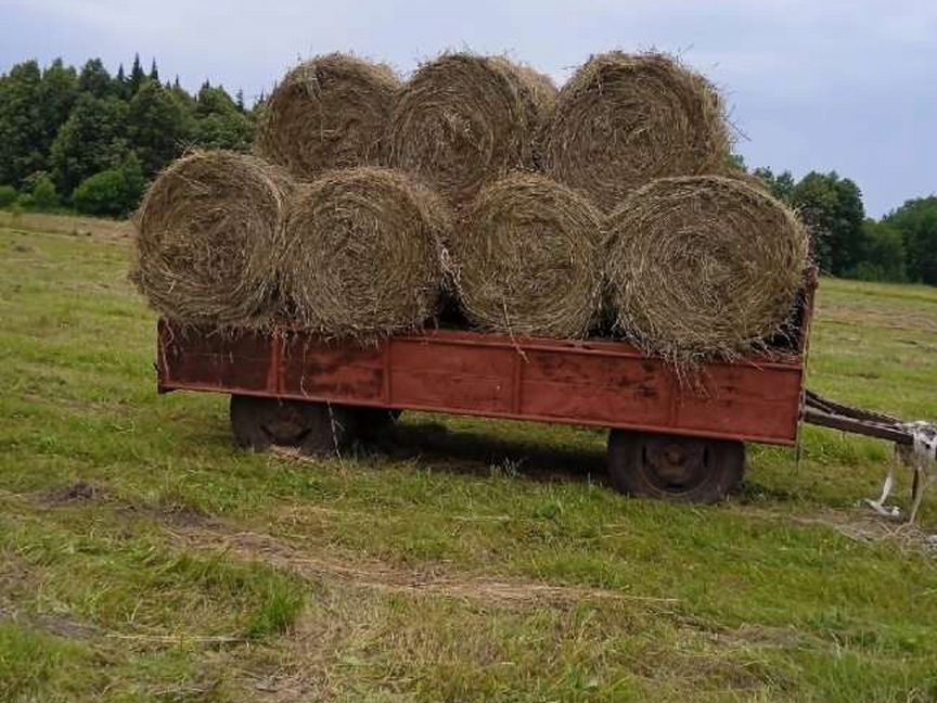 Продам сено в рулонах