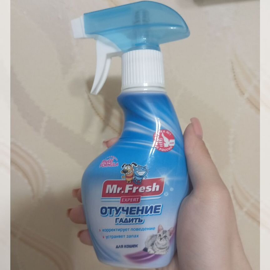 Для котят