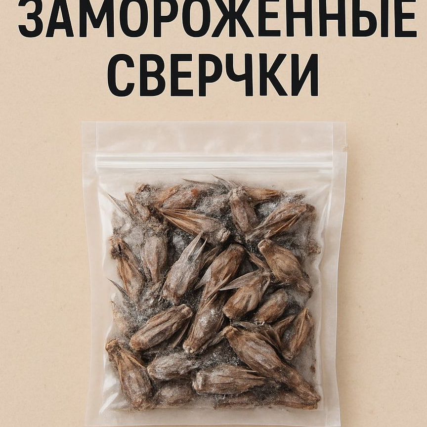 Замороженные домовые сверчки (имаго)