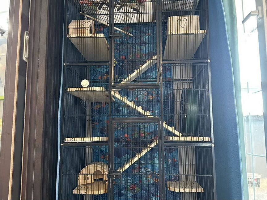 Клетка для грызунов /поссумов /попугаев большая