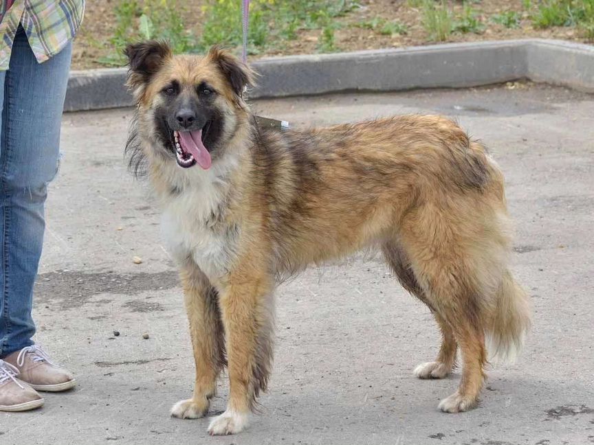 Достойная красавица Вита