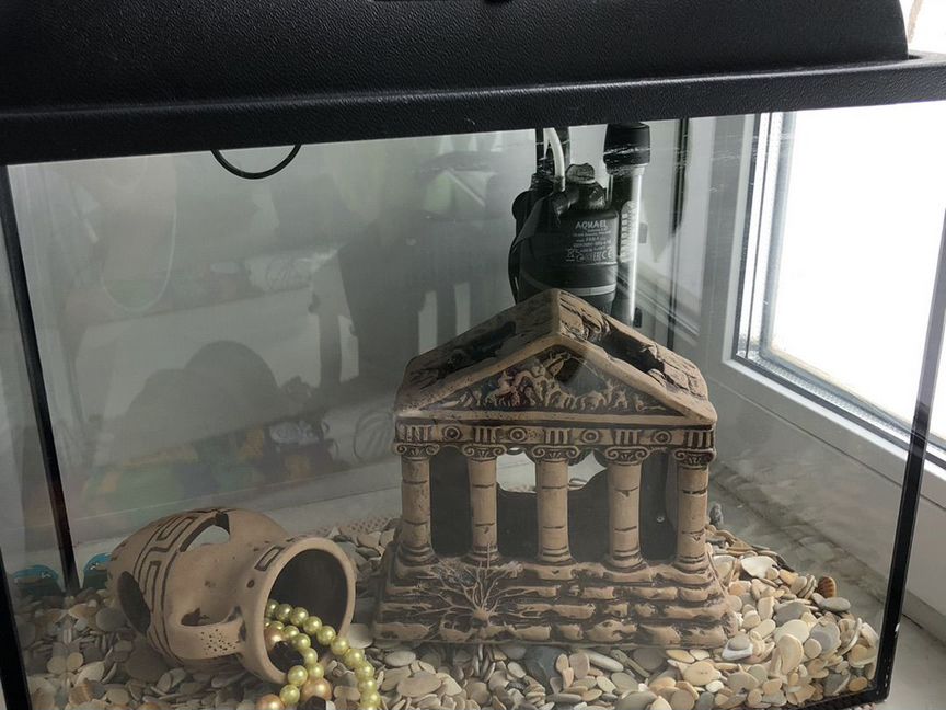 Аквариум с обогр.,фильтром, светом и декором