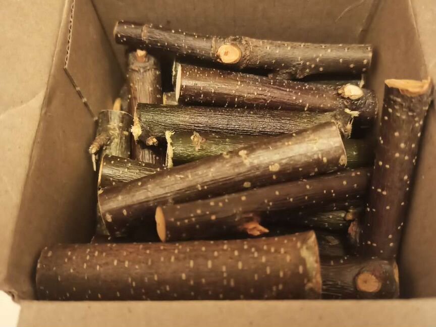 Ветки для грызунов. Камень для стачивания зубов