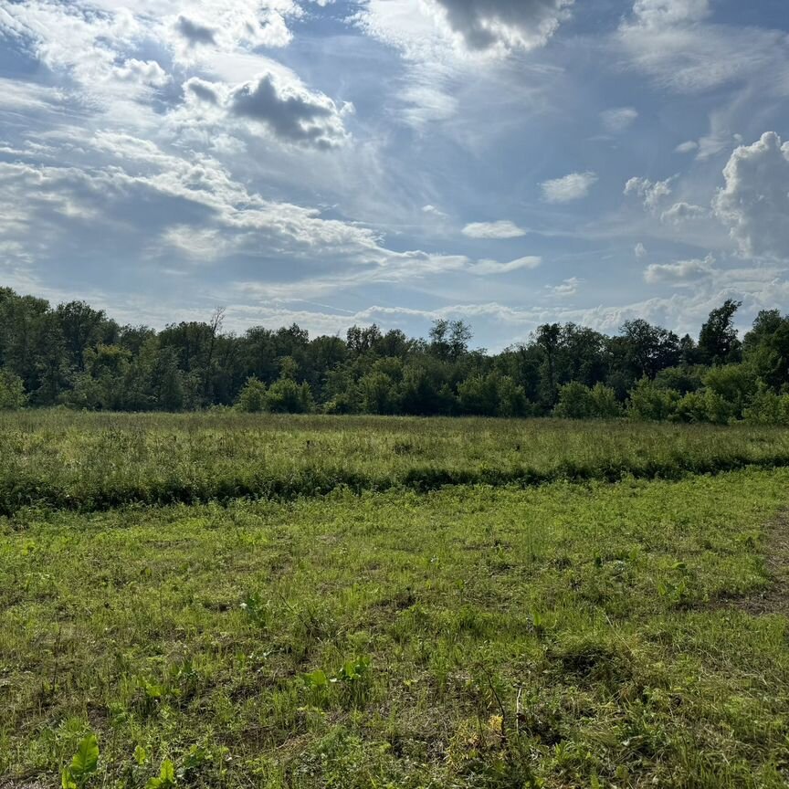 Сено бесплатно