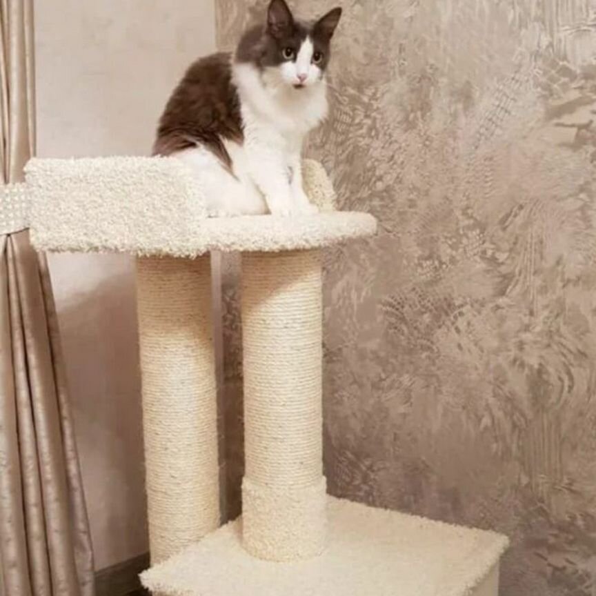 Когтеточка домик для кошки