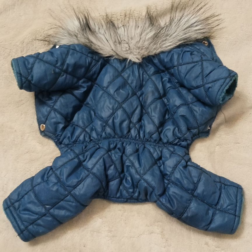 Одежда для собак