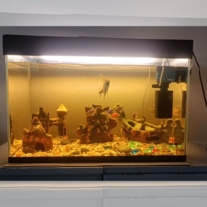 Аквариум с рыбками и украшения