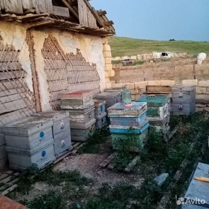Ульи с пчела и 10шт, 190рамок дадан