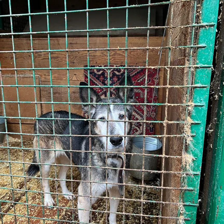 Никому не нужна