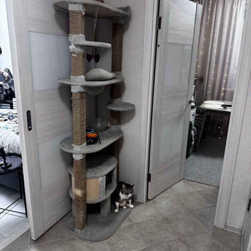 Когтеточка дом для кошек