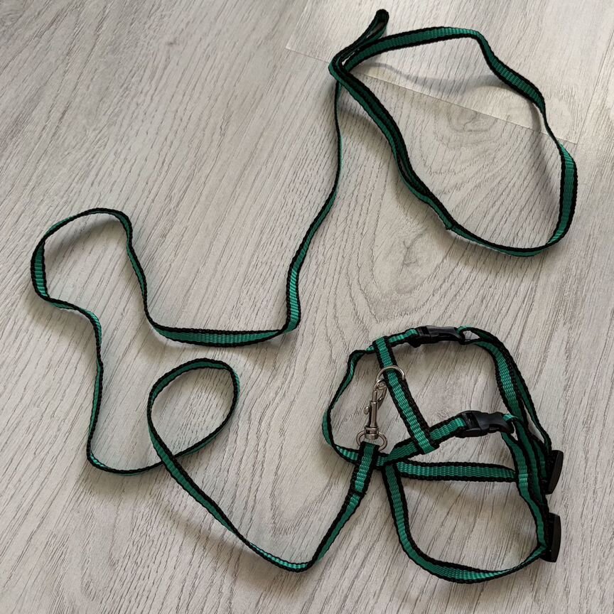 Шлейка для кошки