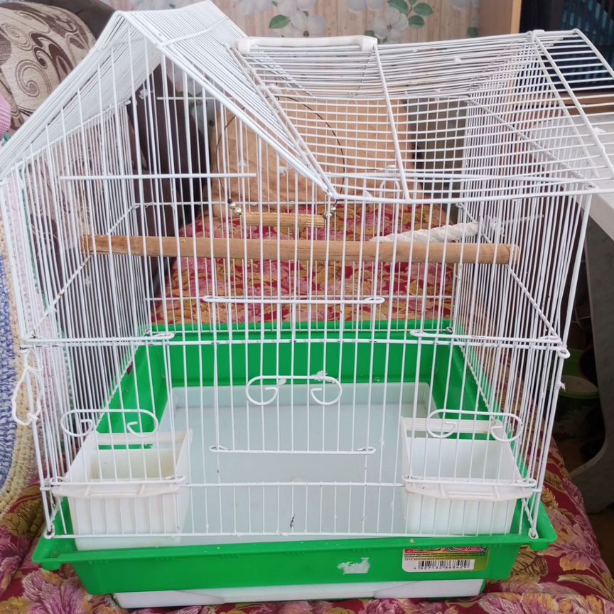 Клетка