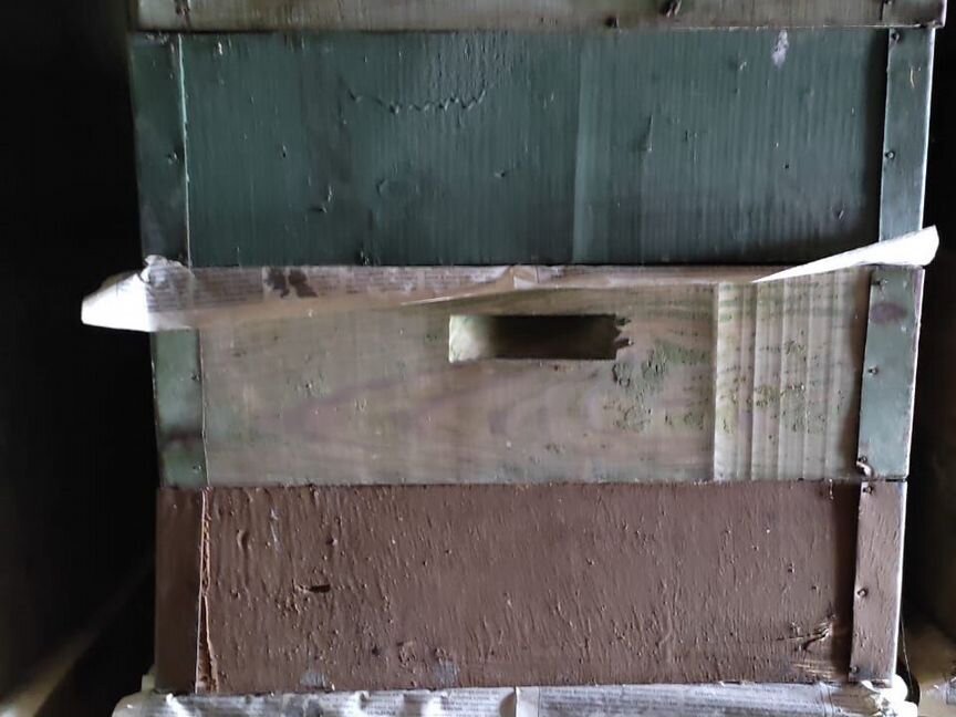 Товары для животных