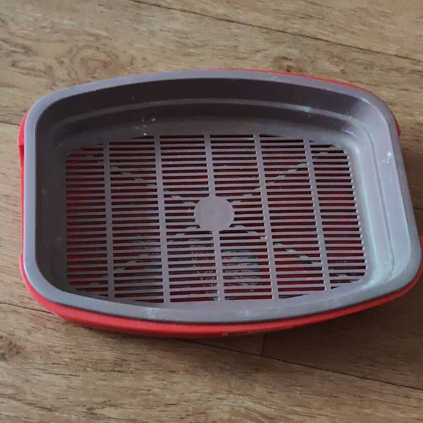 Лоток для котенка 1-3 месяца