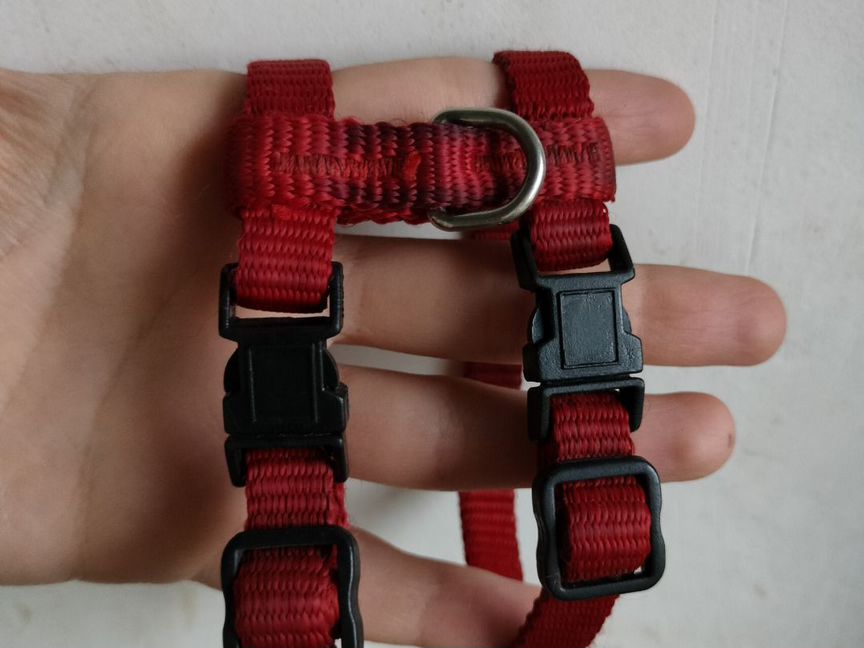 Шлейка для хорька