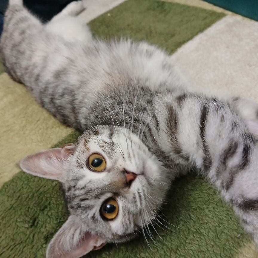 Очаровательная Валентина Михайловна