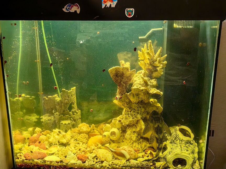 Аквариум Jewel 120л