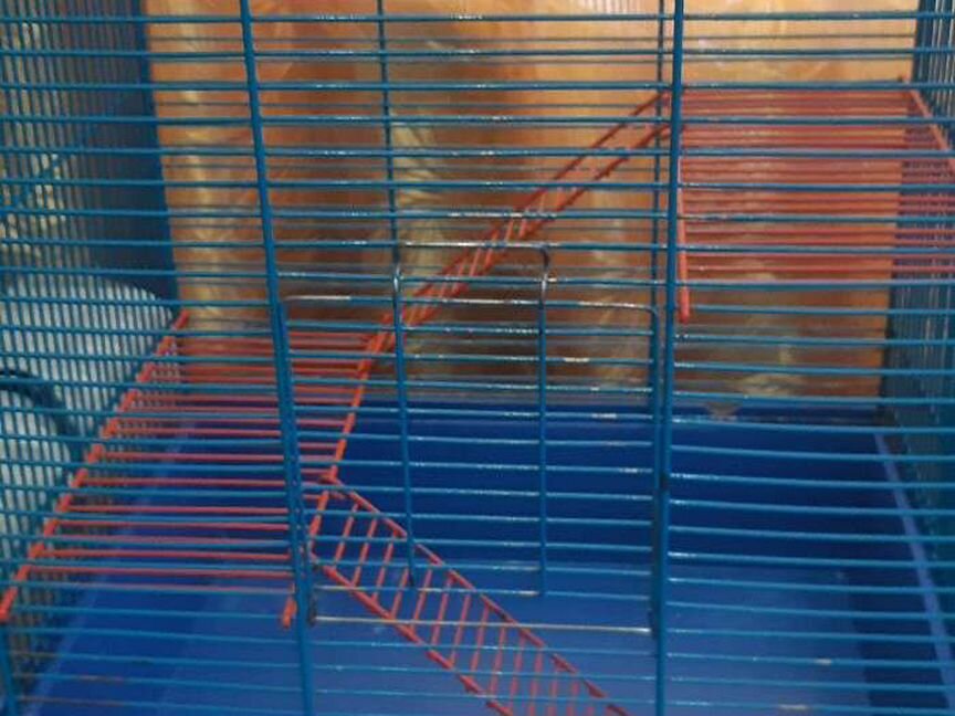 Клетка 3-х этажная для джунгарского хомяка