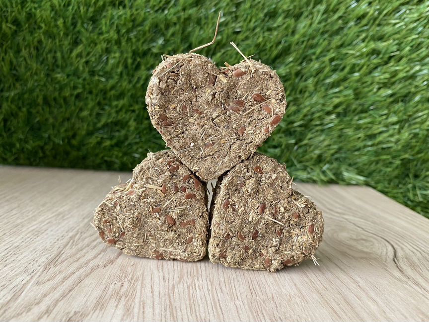 Лакомство для грызунов домашнее ручной работы