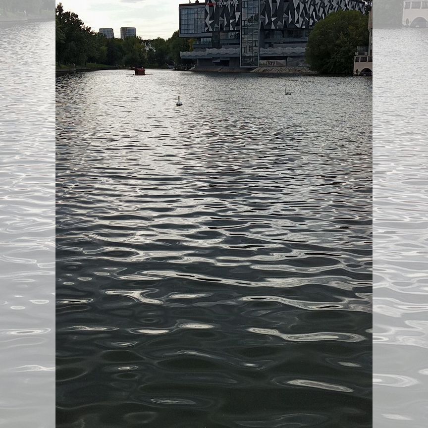 Продаются куры и 2 петуха на мясо