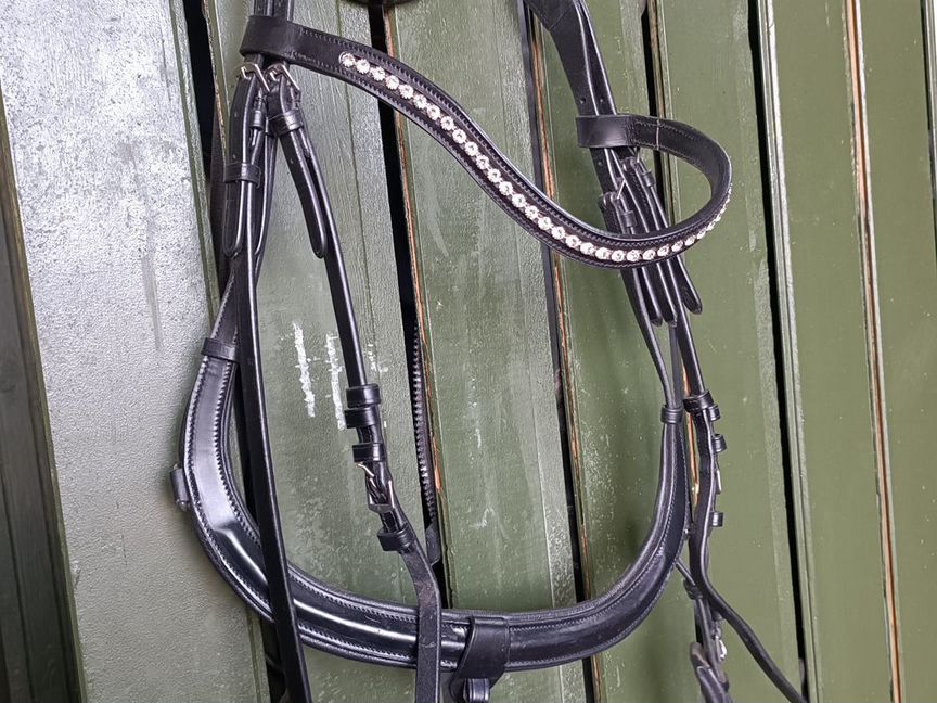 Анатомическая уздечка