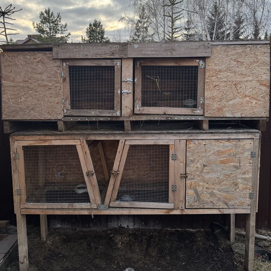 Клетки для кроликов с маточником