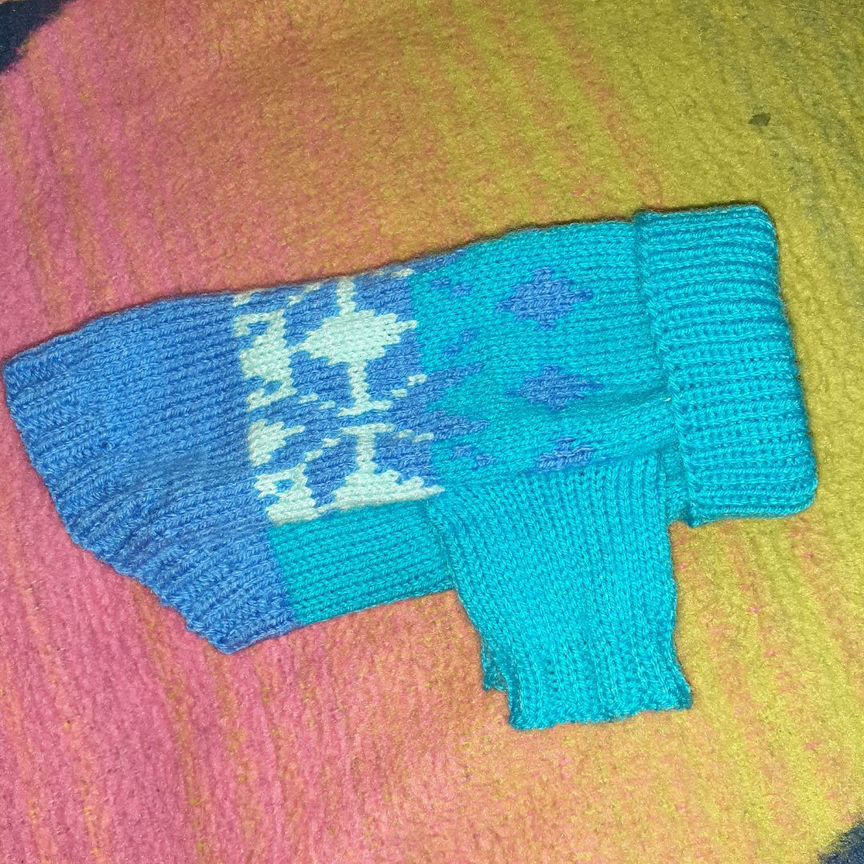 Одежда для собак мелких пород