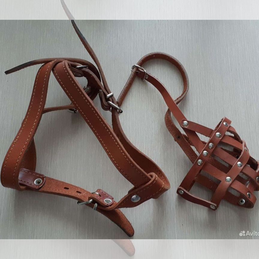 Шлейка и намордник кожаные для средних собак