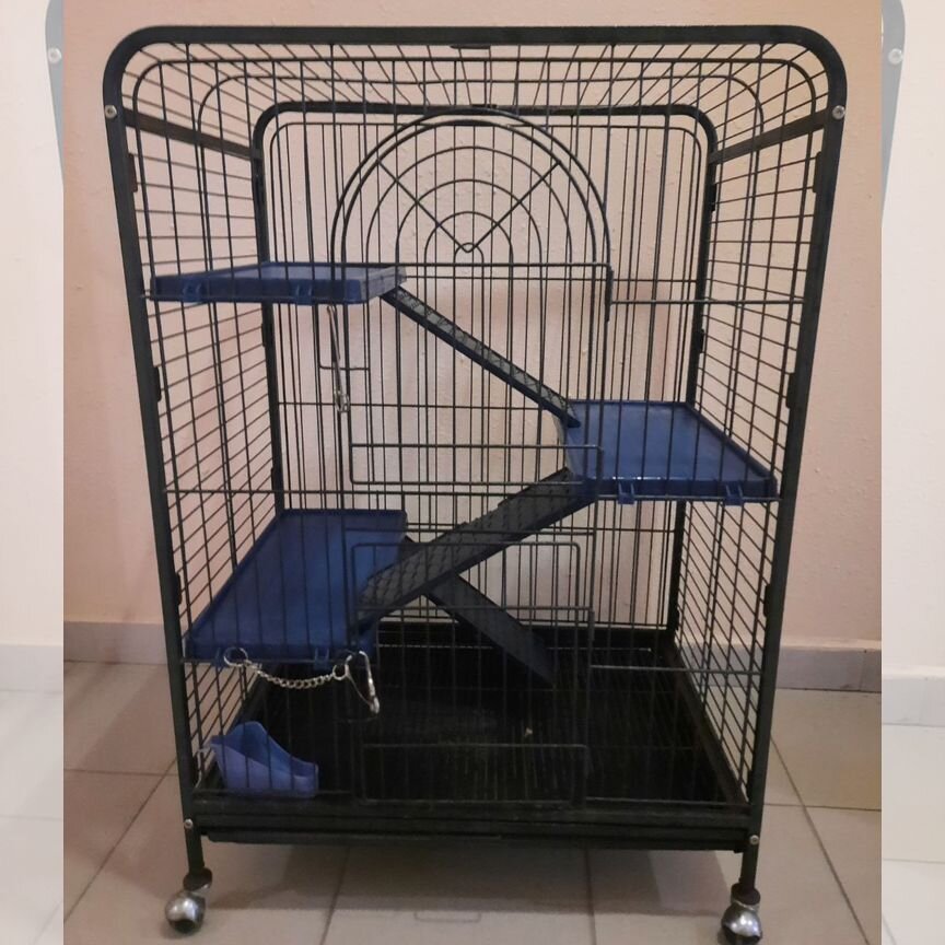 Клетка