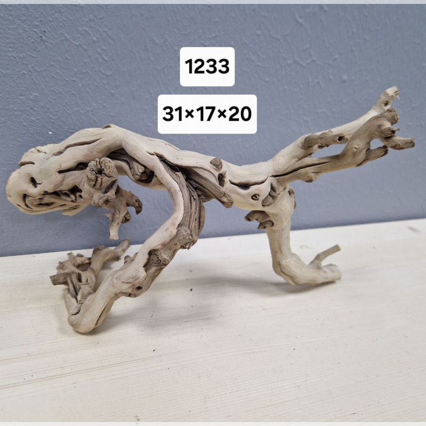 Коряги