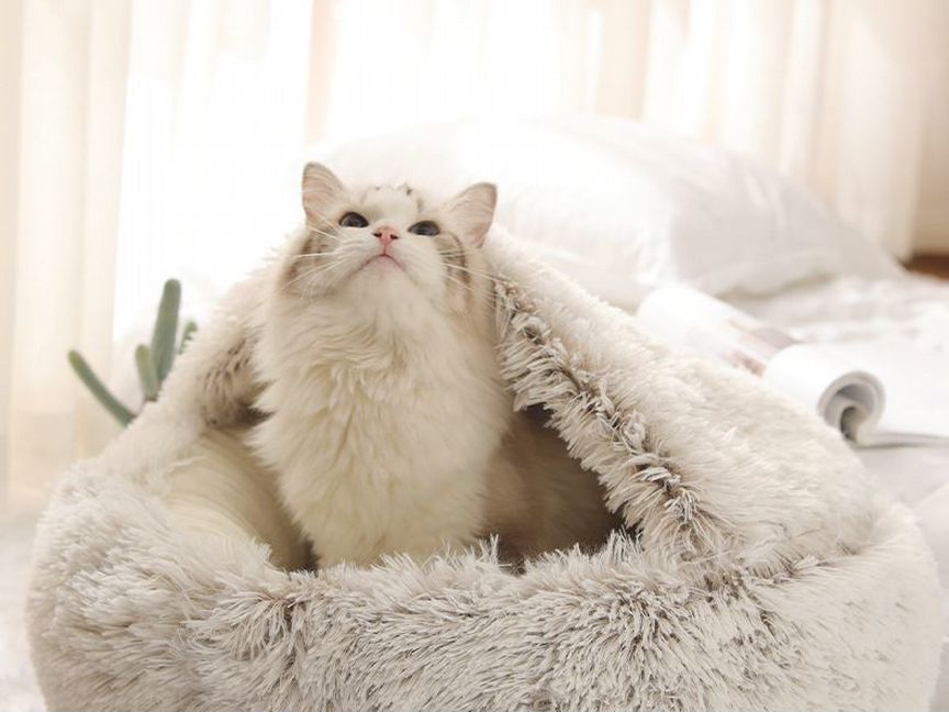 Лежанка для кошек