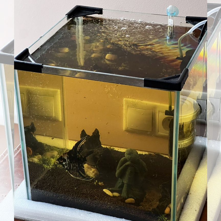 Готовый аквариум