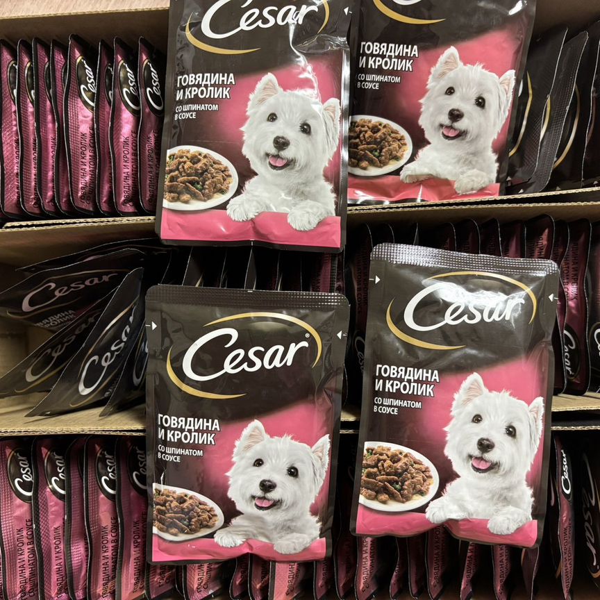 Влажный корм для собак Cesar 85гр
