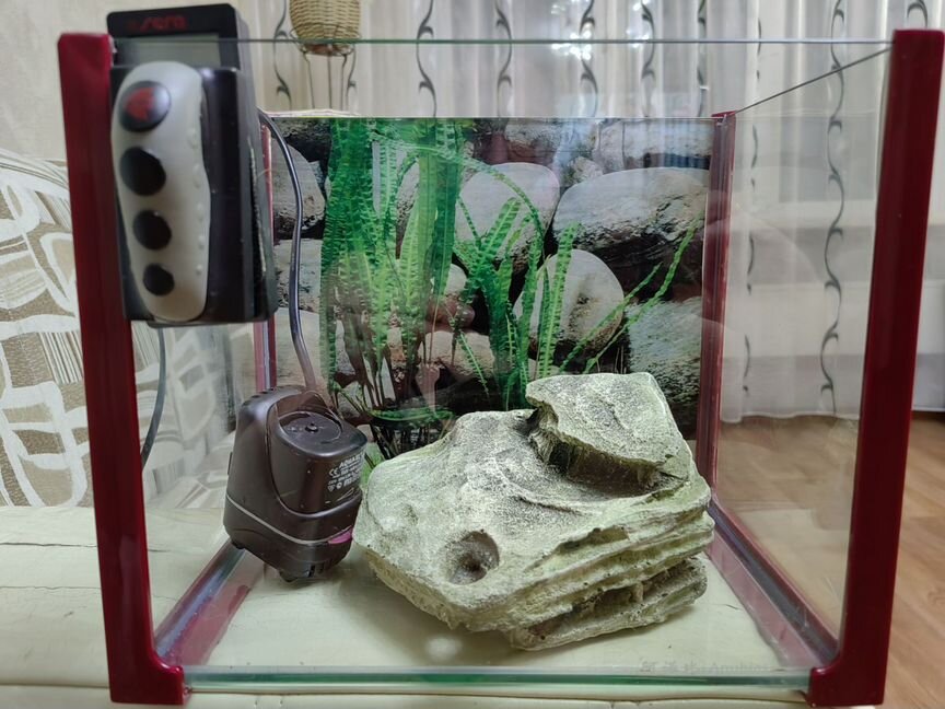 Аквариум