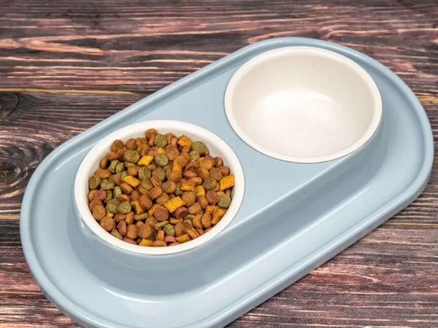 Миска на подставке для кошек/собак