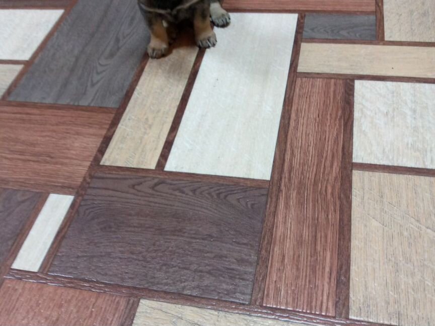 Щенята маленькой дворняги отдам