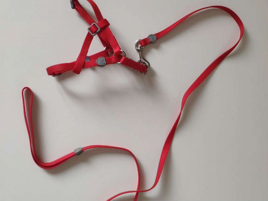 Шлейка с поводком для кошки Trixie Premium, нейлон