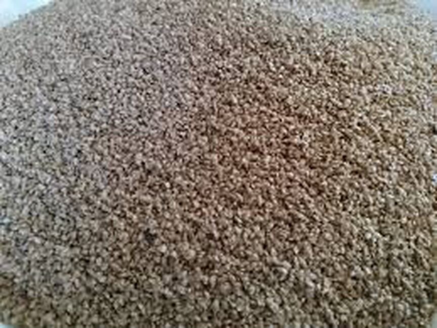 Дафния сухая оптом