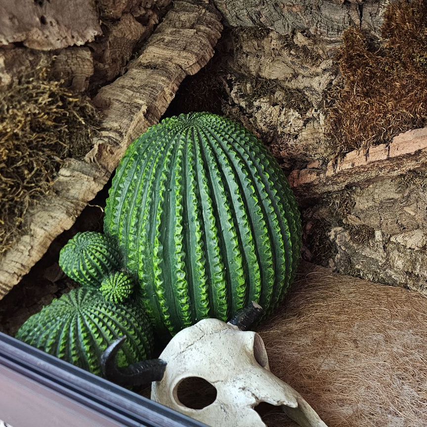 Террариум для рептилий 50х30х30