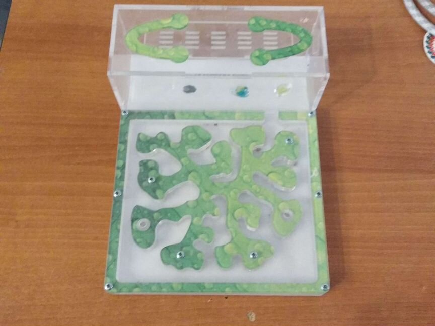 Муравьиная ферма