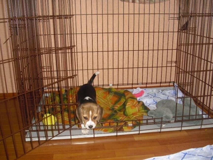 Клетка с поддоном для собак кошек