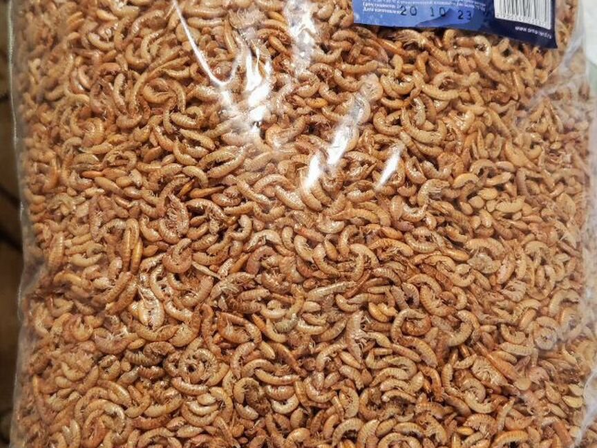 Гаммарус сушеный