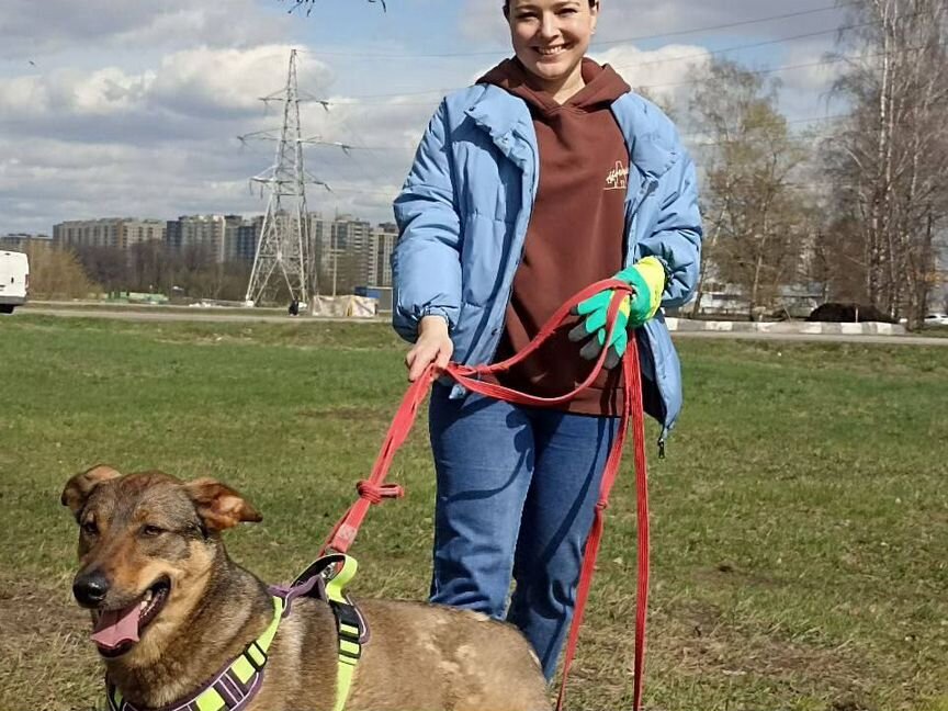 Подарите Рози дом