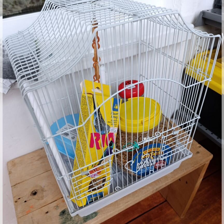 Клетка для попугая