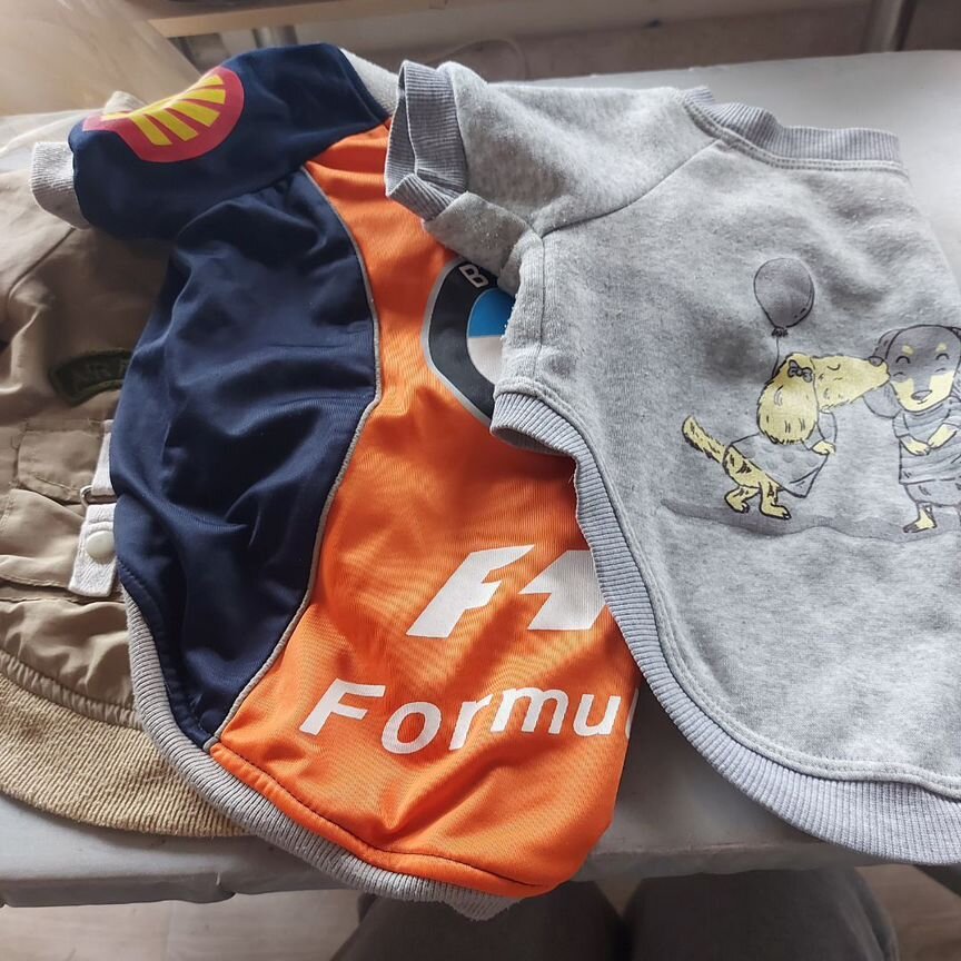 Пакетом одежда для собак б/у