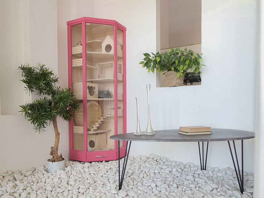 Угловая клетка для шиншилл дегу грызунов белки 11